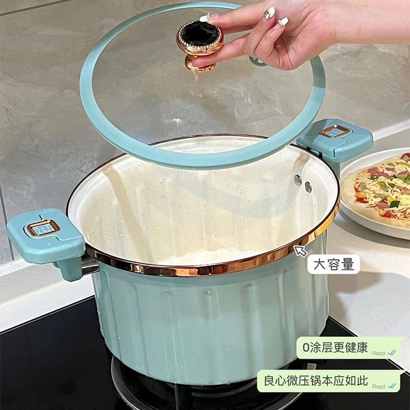 Enamel Micro Pressure Cooker - Needs Store